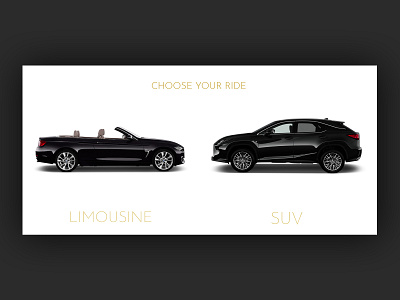 Choose your ride by Adina on Dribbble