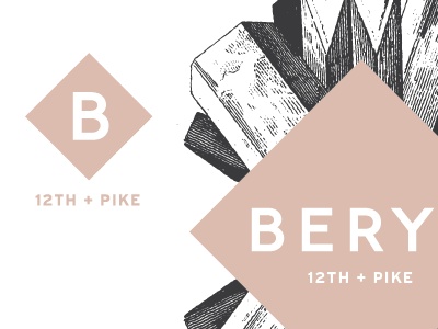Beryl by Maddy Porter on Dribbble