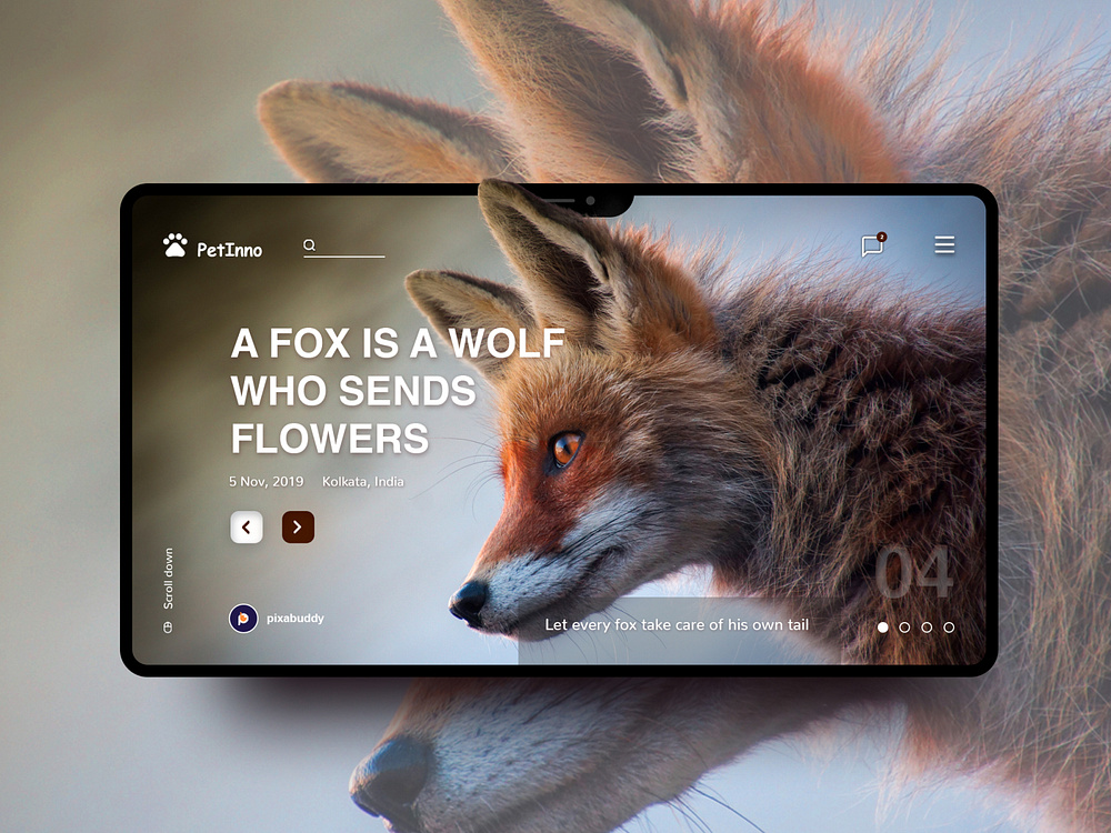 PetInno UI by Abhishek Saha on Dribbble