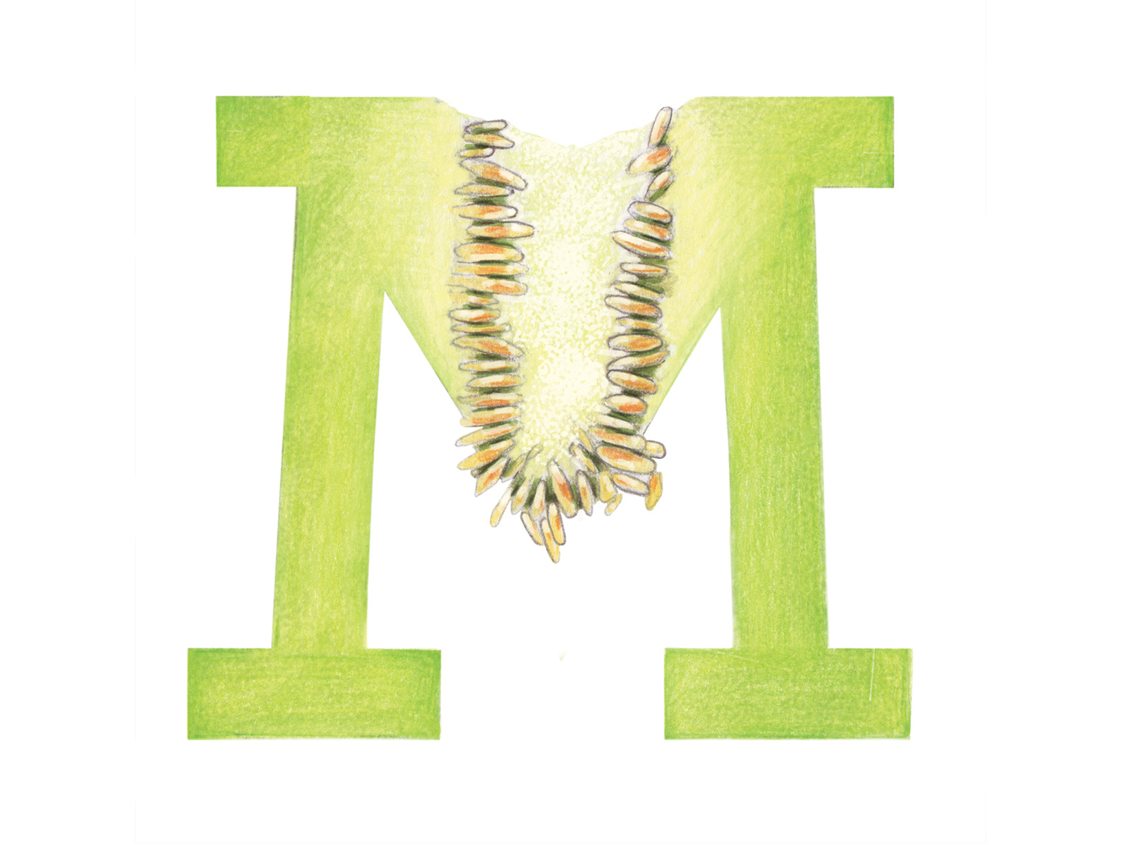 M is for Melon by Tara Detchemendy on Dribbble