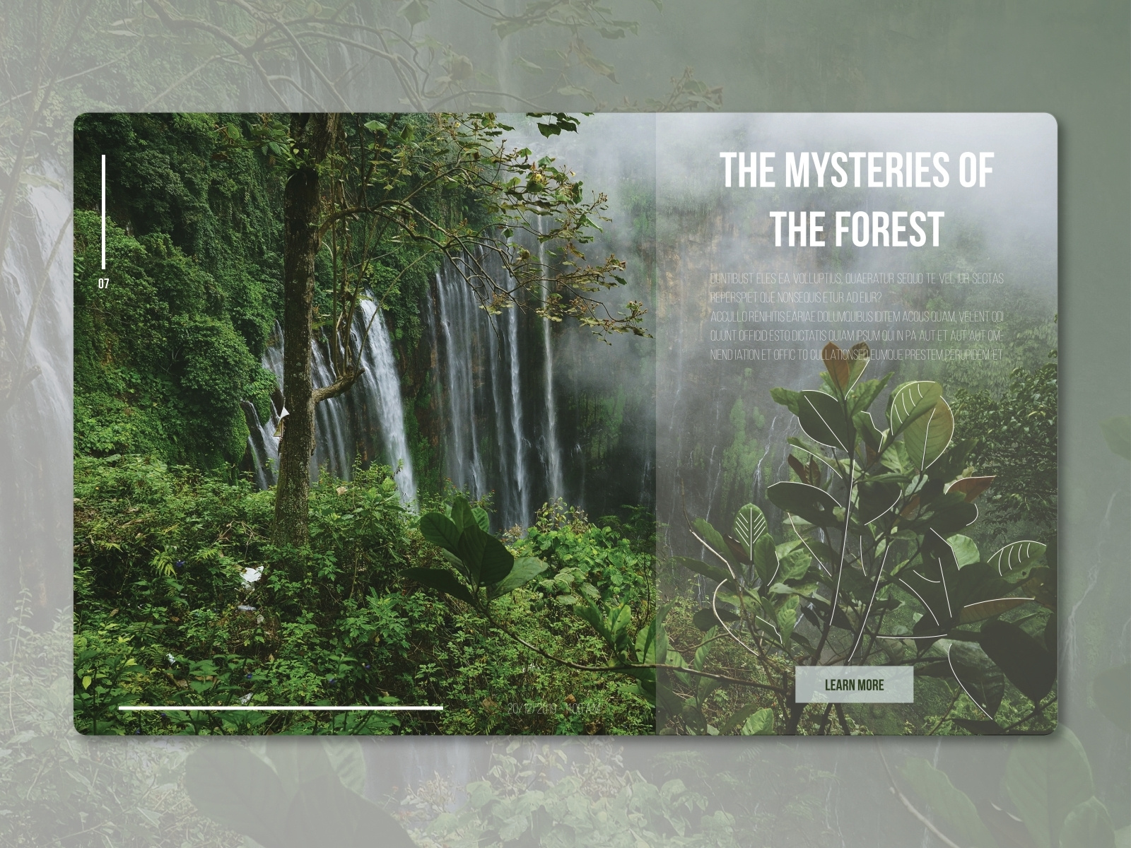 Info Card - Forest by Alberto Berruto on Dribbble