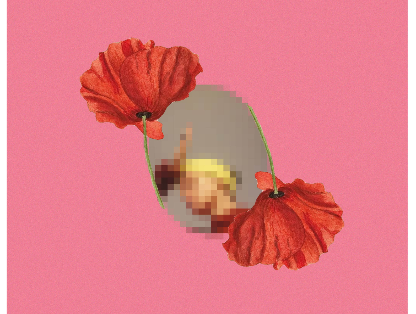 Pixel arrangement by Aleksandra Kostic on Dribbble