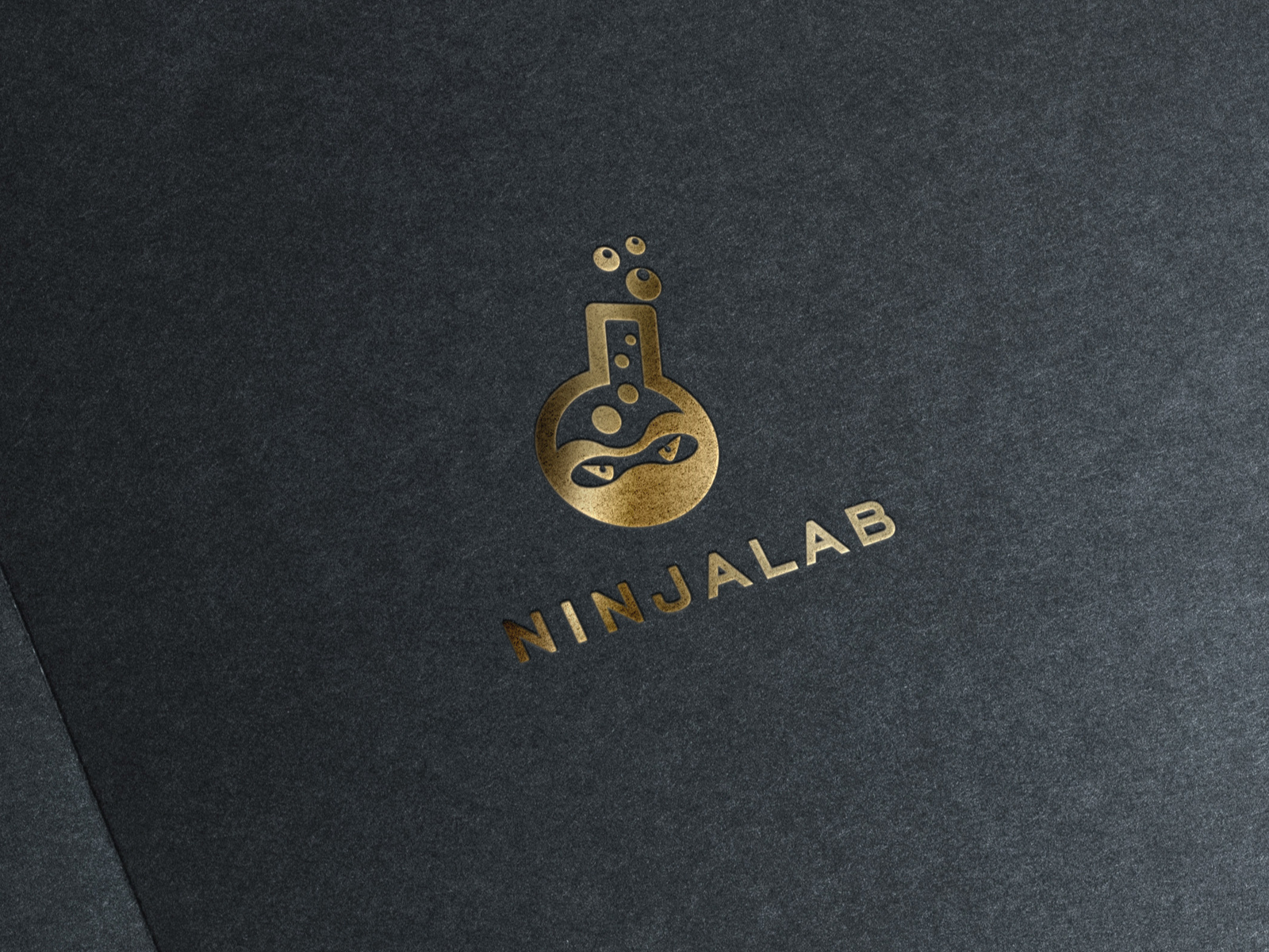 Ninja Lab Mockup by Bilal Kadic on Dribbble