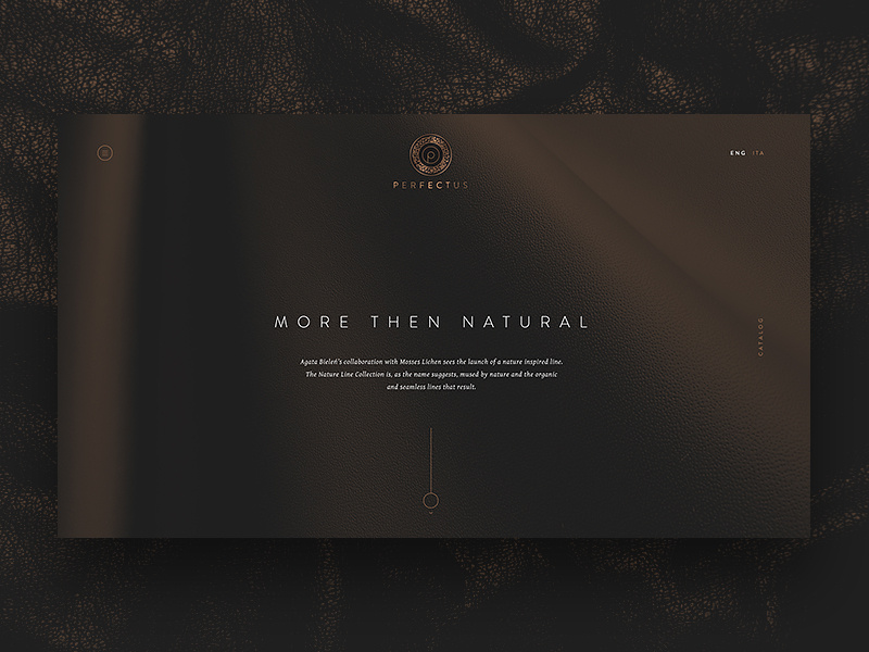 Perfectus by Alexander Shmelev on Dribbble