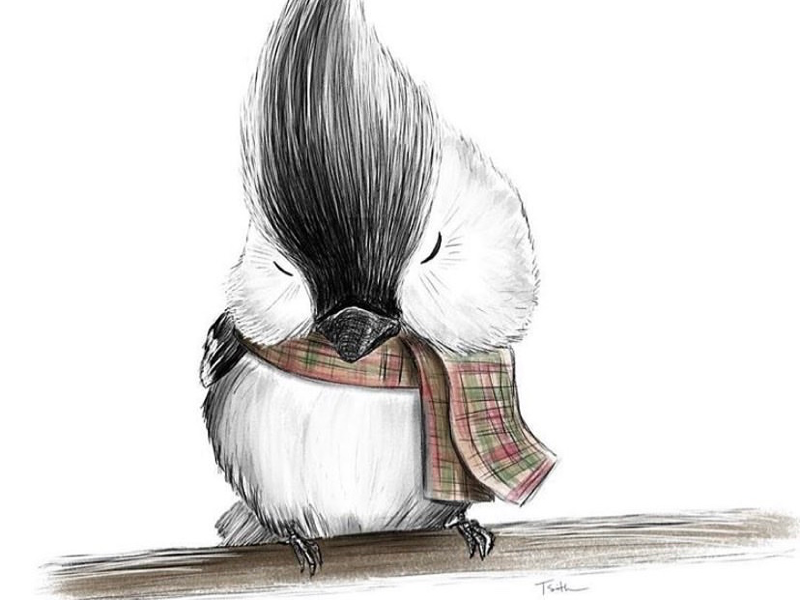 Cozy Bird by Tannie Smith on Dribbble
