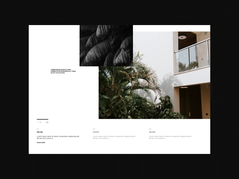 Carousel UI designs, themes, templates and downloadable graphic ...