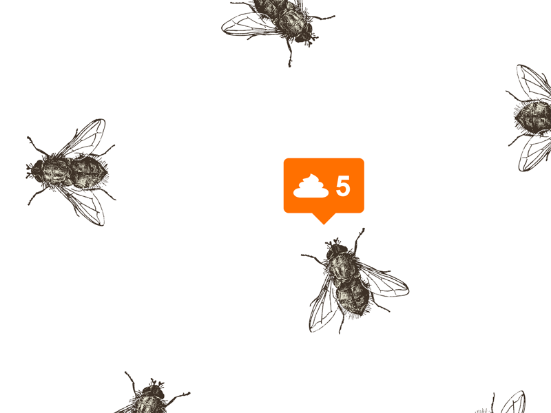 Fly likes shit @ Keep in touch by Juanfran de Gregorio on Dribbble