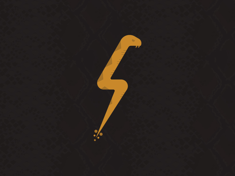 Lightning Snake by Christopher DeCaro on Dribbble