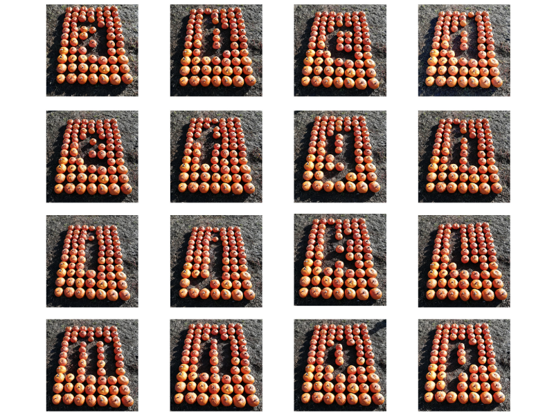 Dot Matrix Project by Beth Jane on Dribbble