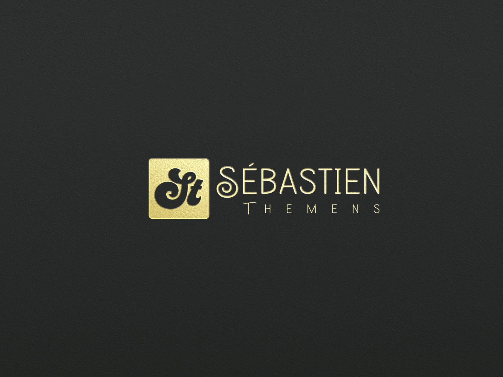 ST Professional Letter Branding Logo by Hridoy Designer on Dribbble