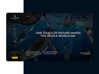 Paul Nicklen Photographer 📸 by Mateusz Madura on Dribbble