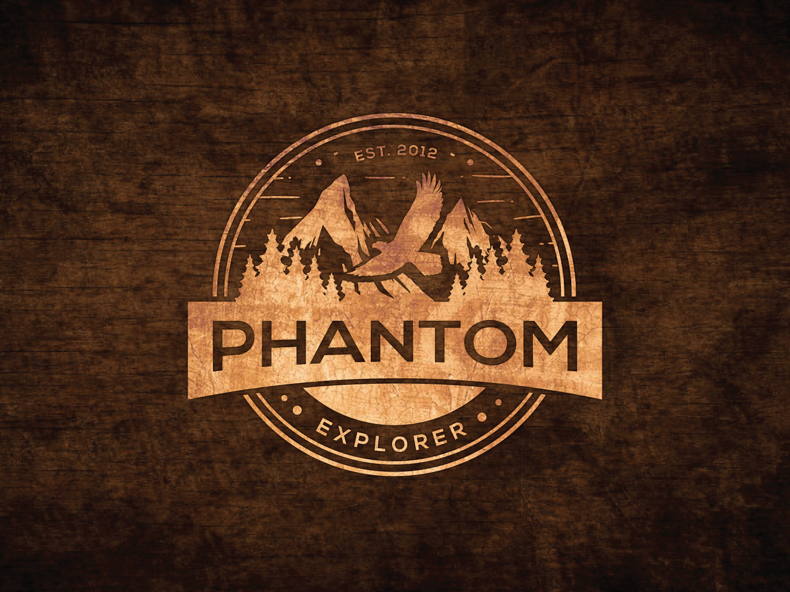 Phantom Explorer by PromoYourBiz on Dribbble