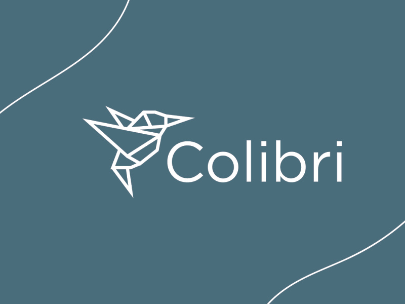 Colibri Logo by Shiren Studio by Shiren Studio on Dribbble