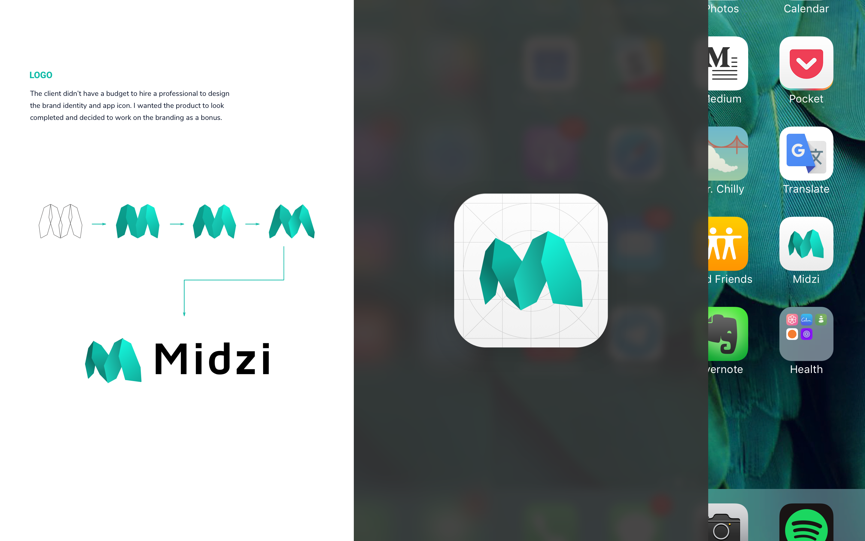 Midzi logo by Andrei Korytsev on Dribbble