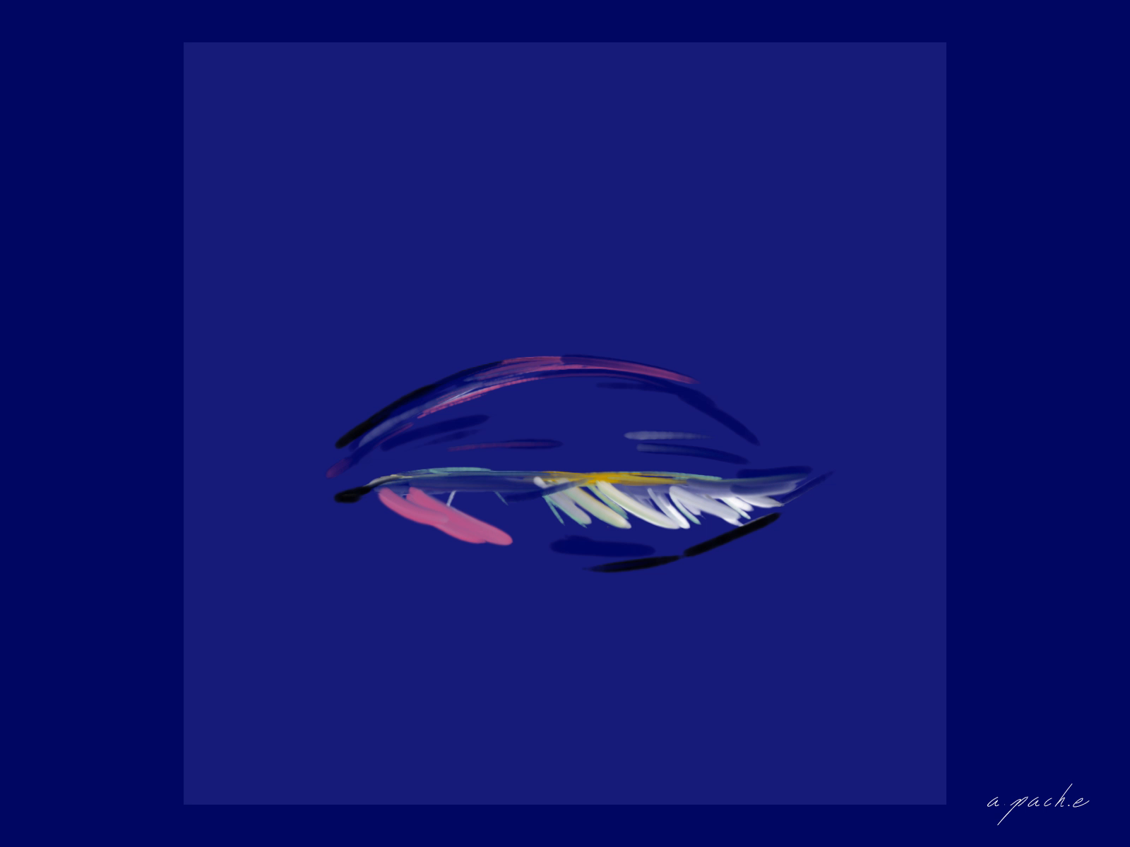 Look inside by Adrià Pacheco on Dribbble