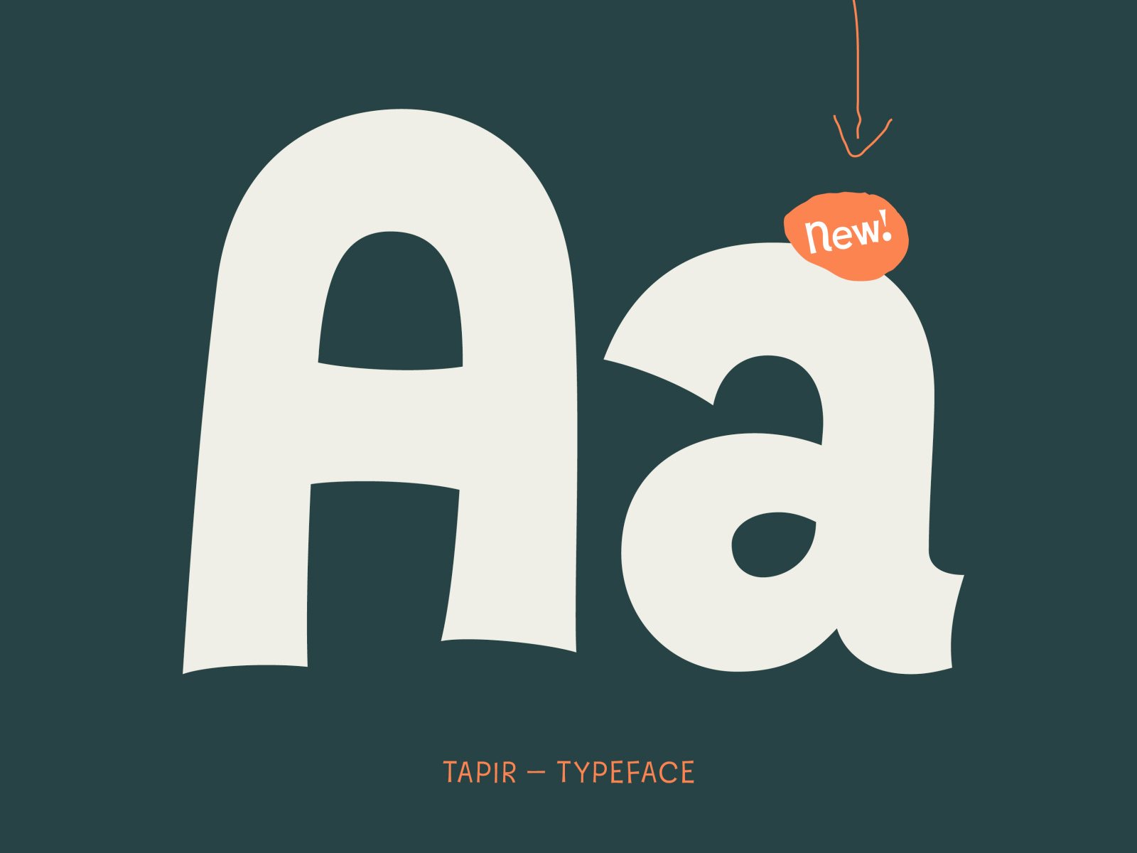 Tapir — Typeface by HvD Fonts | Type Foundry on Dribbble