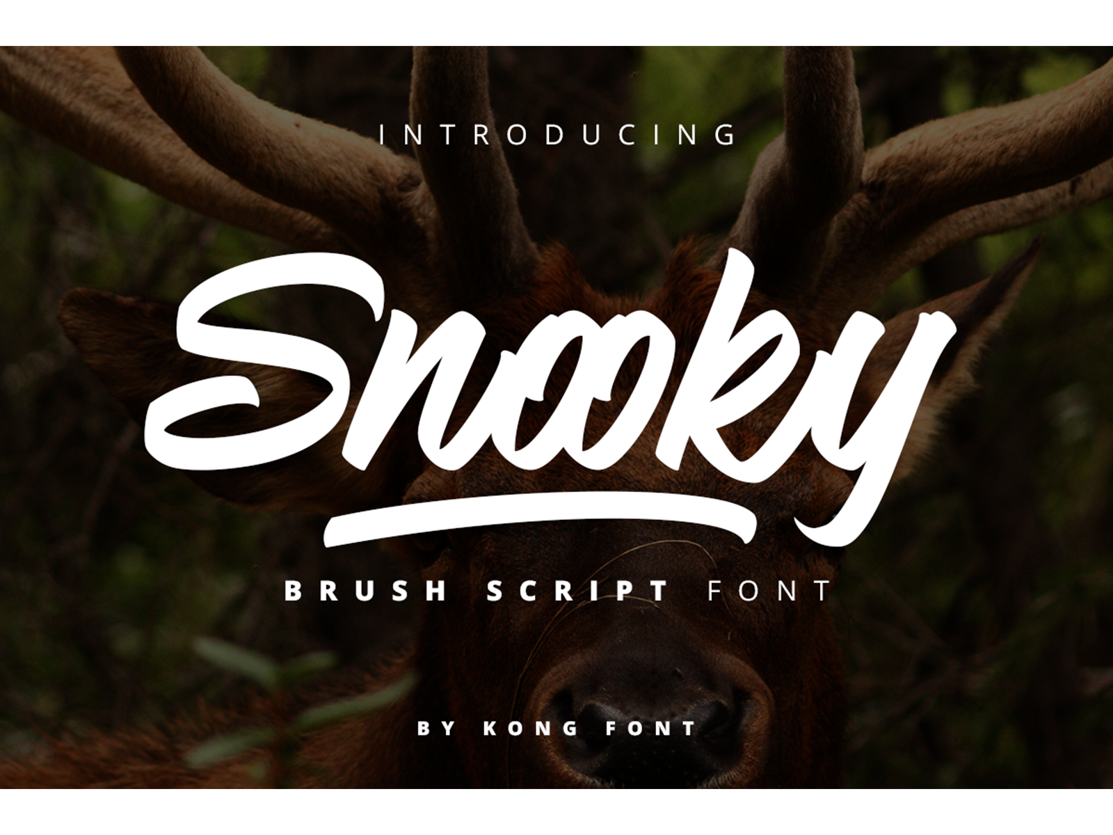 Snooky Font by KongFont on Dribbble