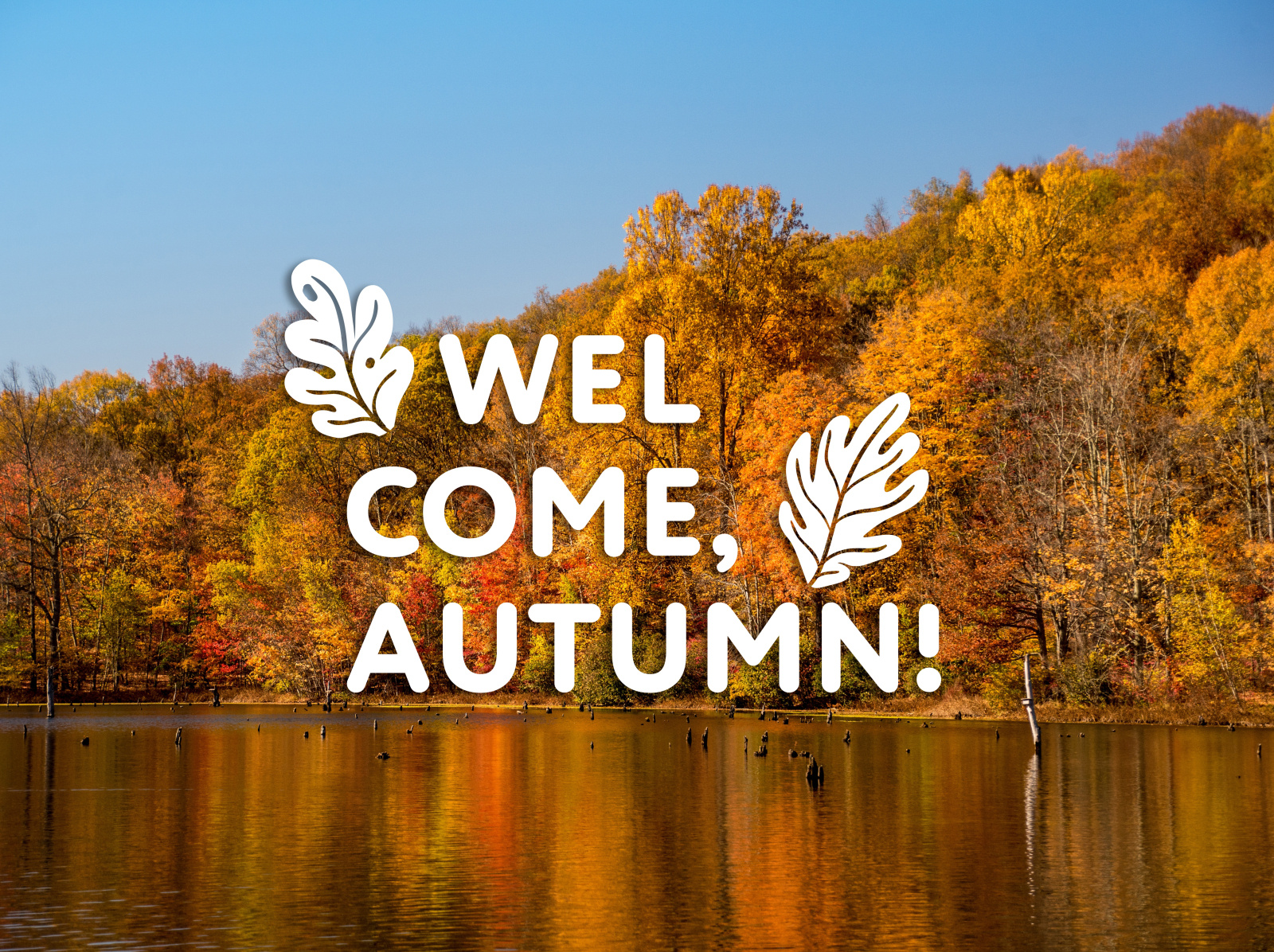 Welcome Autumn 2022 in Moldova! by Cromatix Creative Image Lab on Dribbble