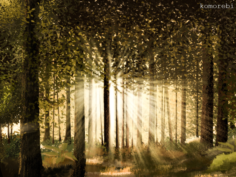 Komorebi by Rohit Pisharody on Dribbble