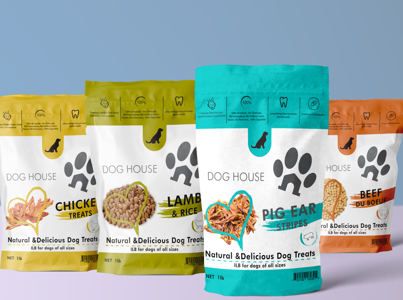 Branding-dog house by Martin Andonov on Dribbble