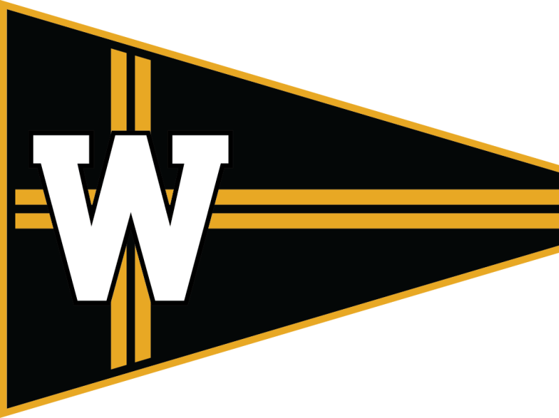 WMU sailing burgee by Everett Meert on Dribbble