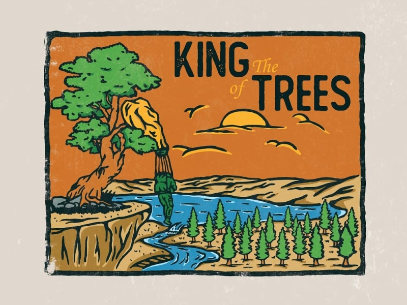 King of Trees by Myspacework on Dribbble