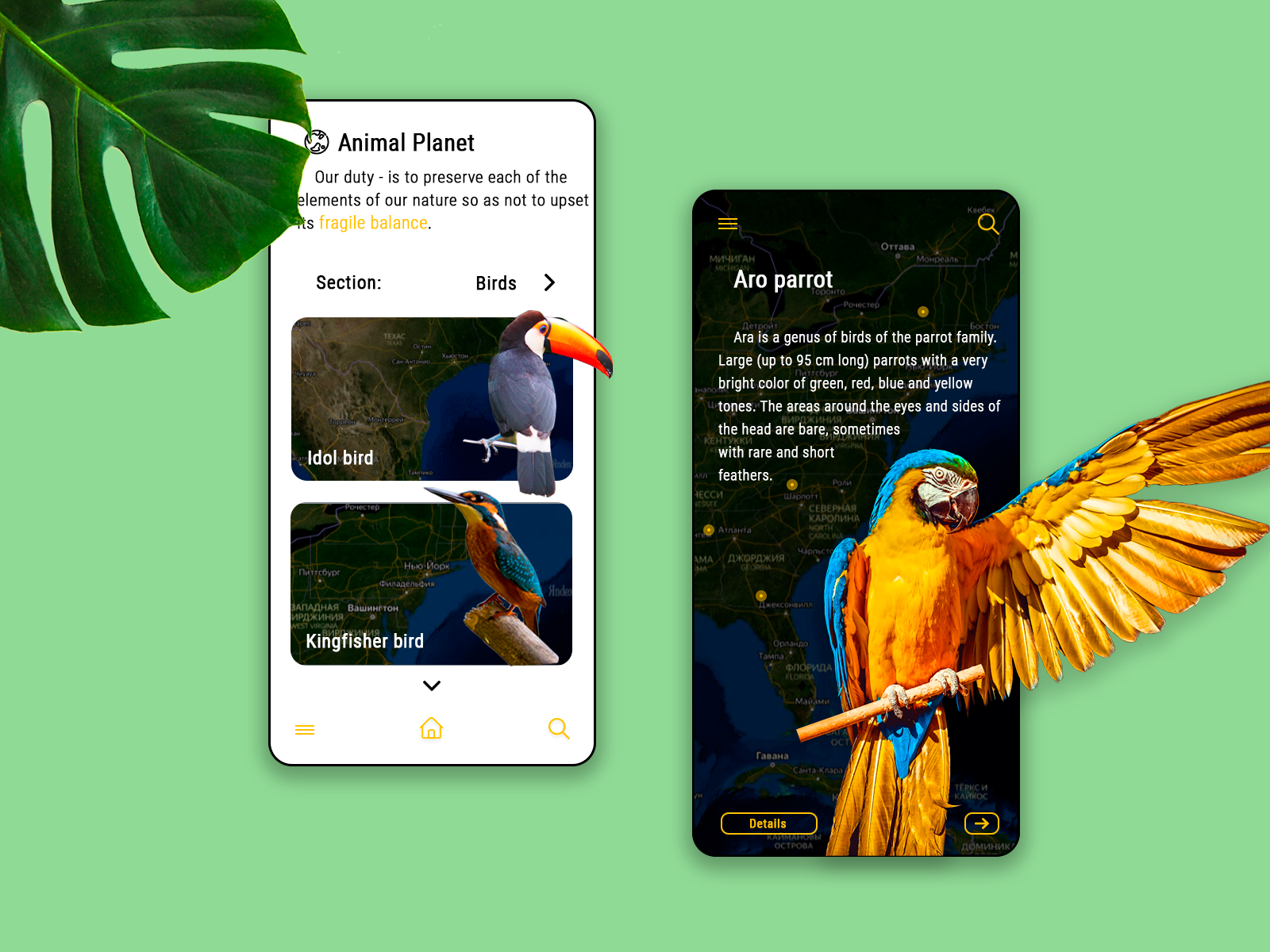 Animal Planet by Svetlansik on Dribbble