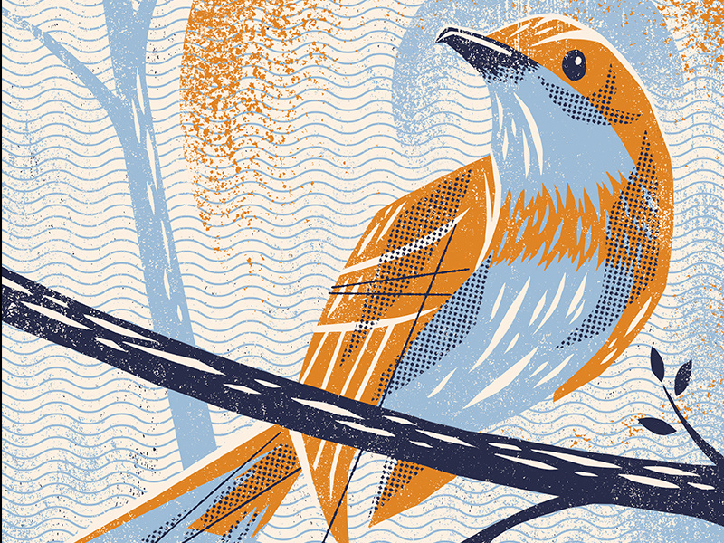 Bird by Josh Holtsclaw on Dribbble