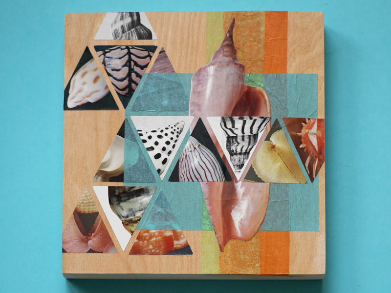 Shell Collage by Karen Kurycki on Dribbble