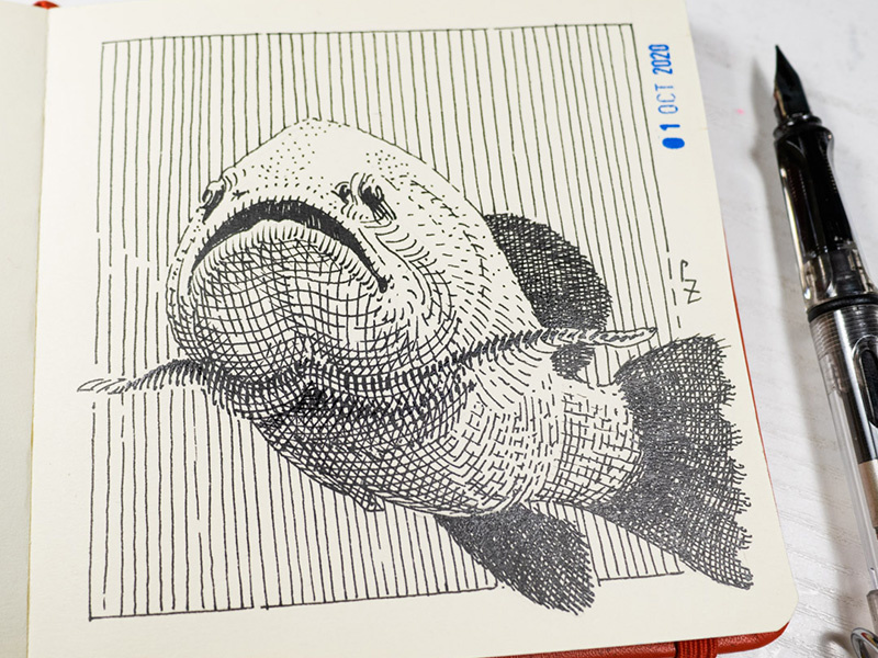 fish [ inktober 2020 ] by Pako on Dribbble