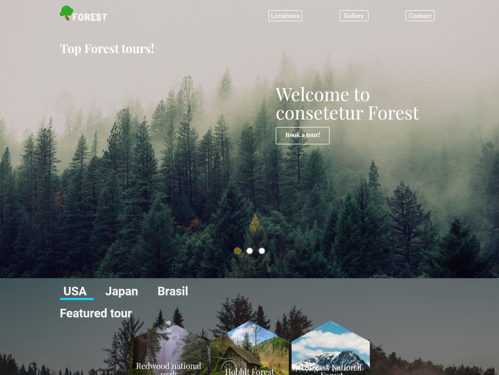 Forest Tour Home page by Hermans Efenudu Joshua on Dribbble