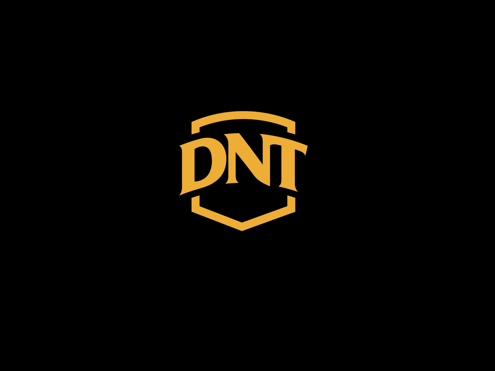 DNT by Valera Gavrilov on Dribbble