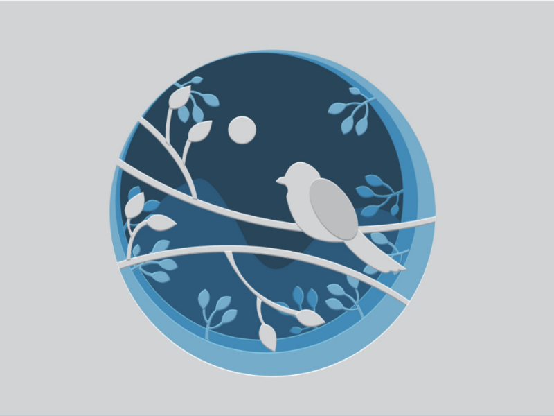 Bird 2D by Svetlana Misevich on Dribbble