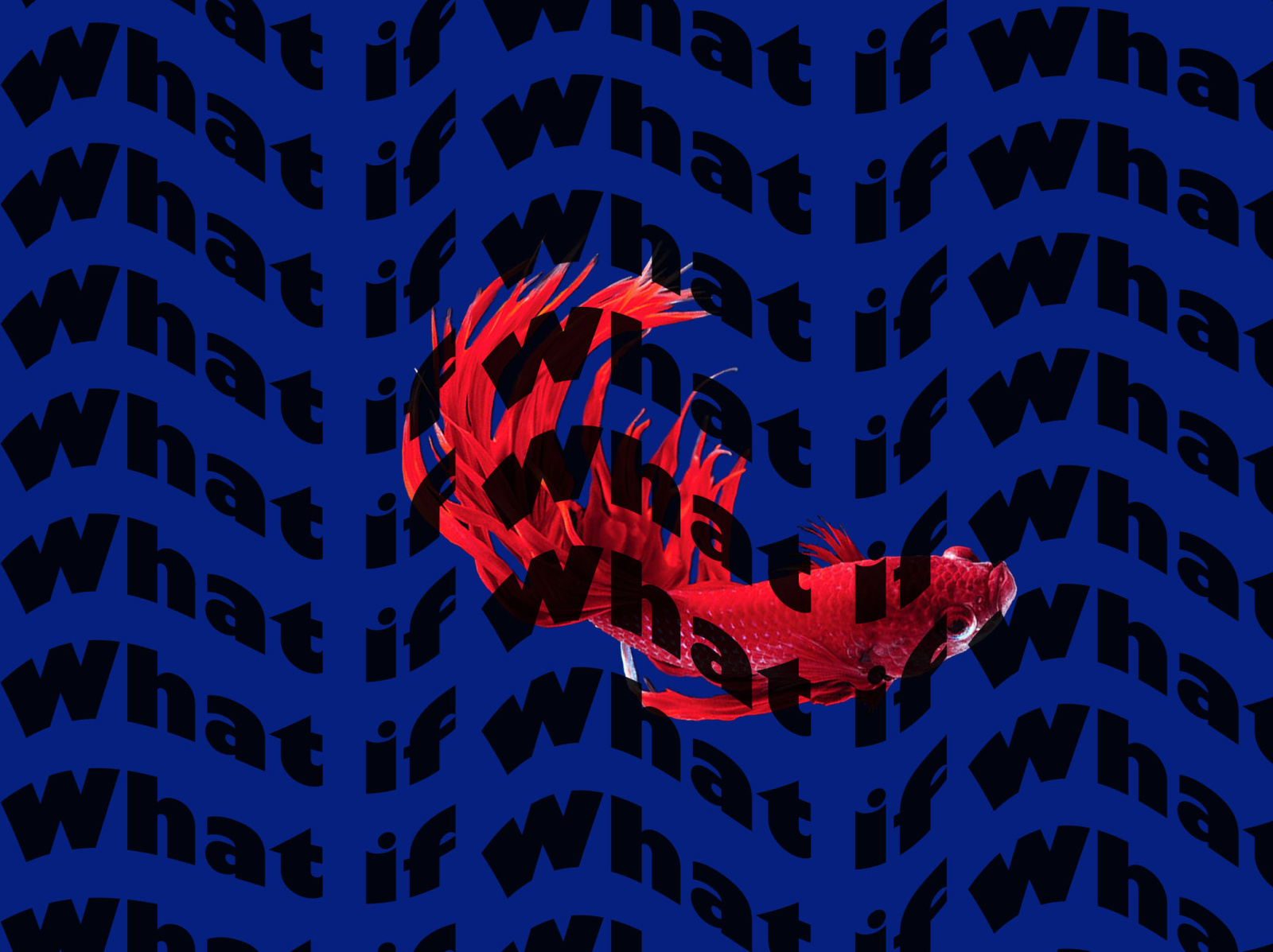 Colorful fish in the ocean of what ifs by Dominika Király on Dribbble