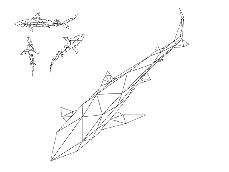 Shark Nettings by Abbie Runcie on Dribbble