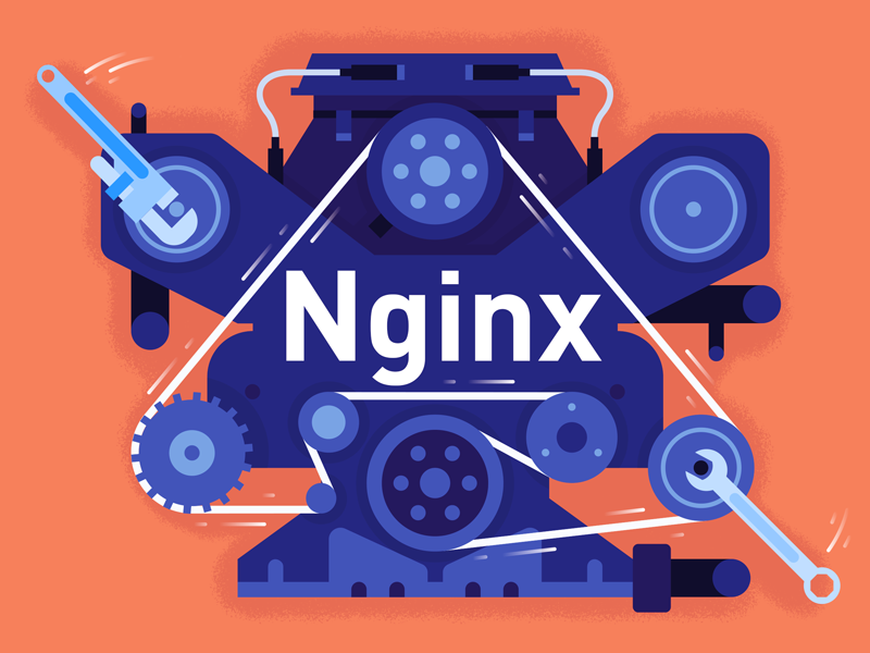 Setting Up Nginx by Alex S. Mostov for DigitalOcean on Dribbble