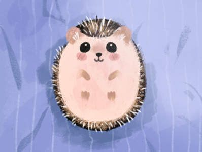 Ekaterina Klimova | Dribbble