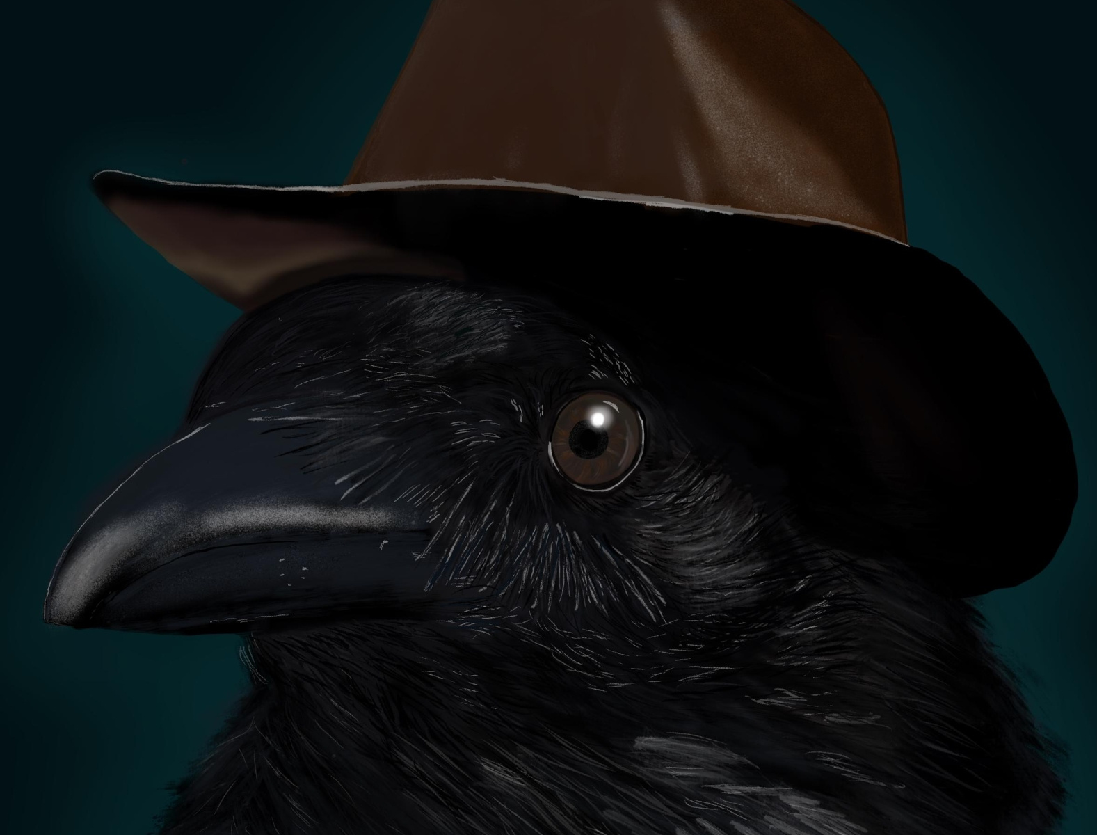 Indiana Crows by Blair Breese on Dribbble