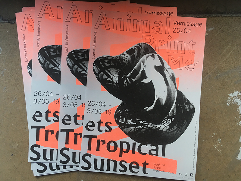 Let the flyers fly / Riso print extravaganza by Adam Willant on Dribbble