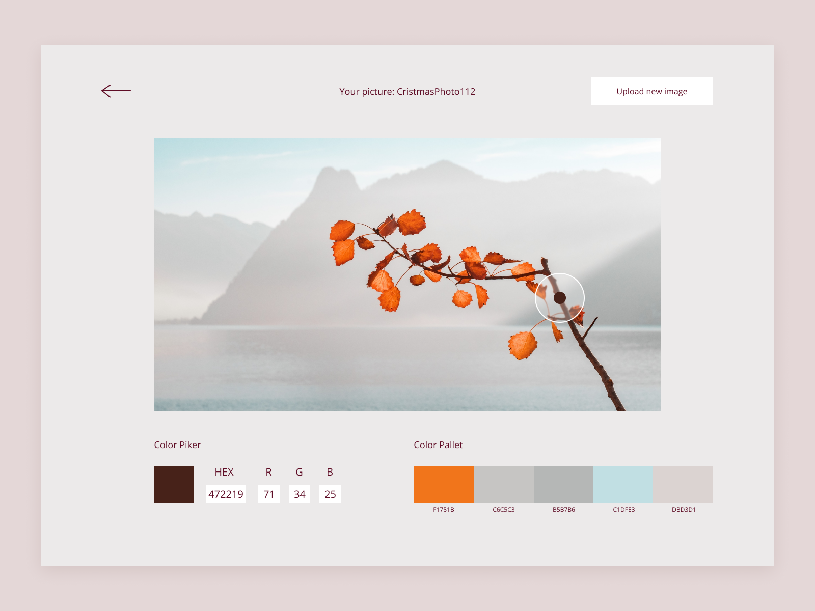 Color Picker by Yana Kozlova on Dribbble