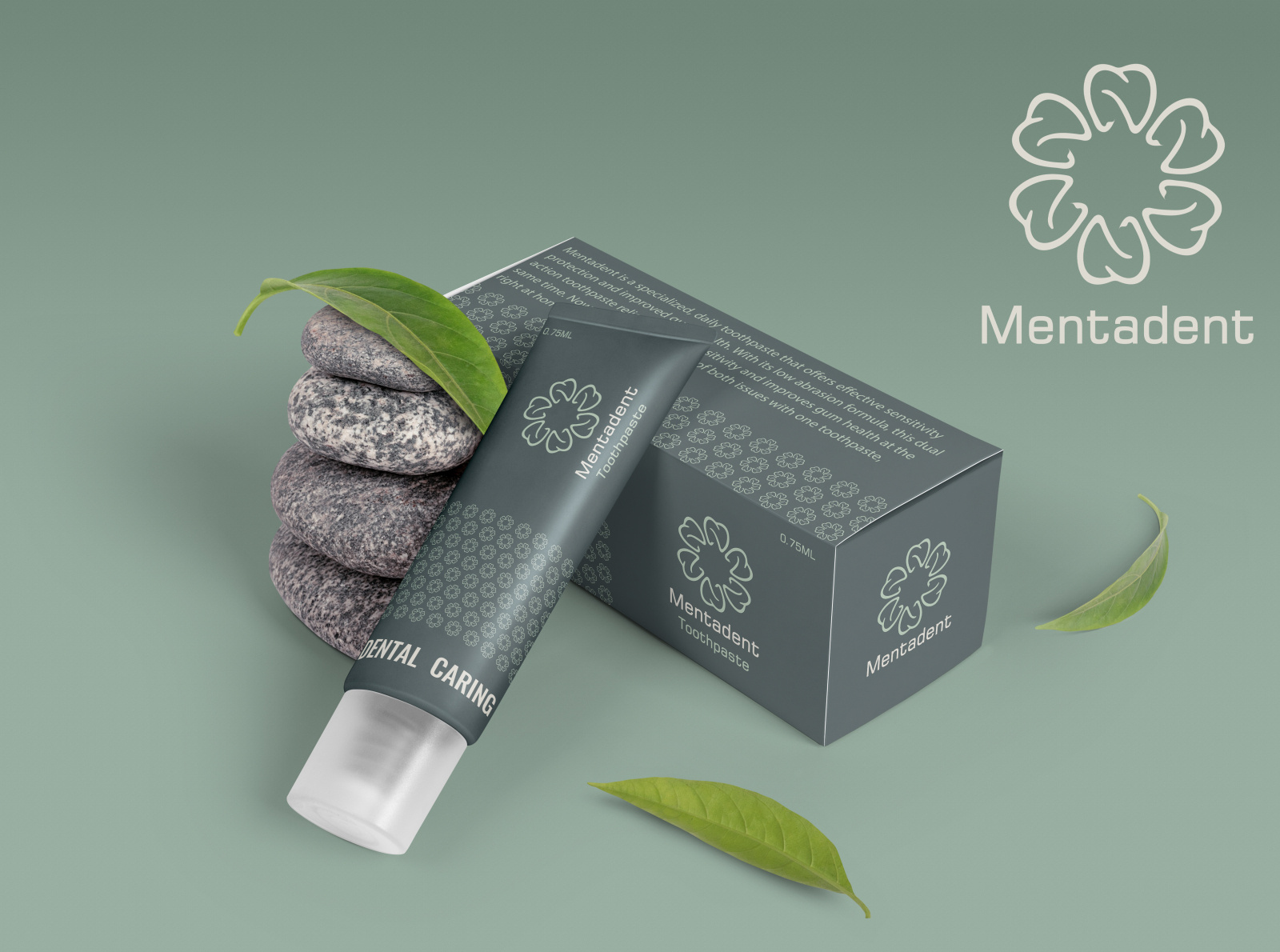 Toothpaste Packaging Design by Aine on Dribbble