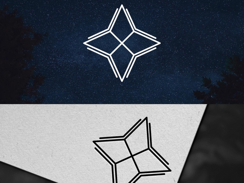 Polestar Logo Design by Sad Design on Dribbble