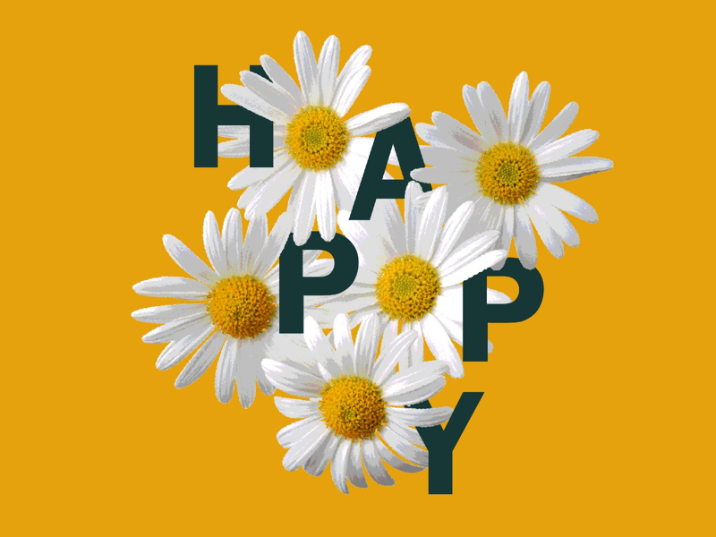 "Happy" by Sad Design on Dribbble