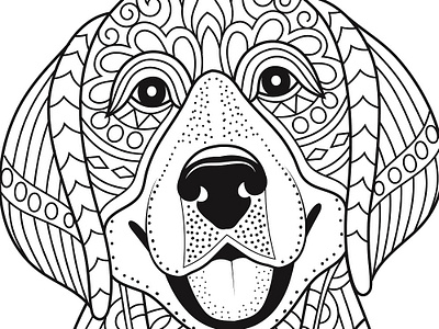 avinash | Dribbble