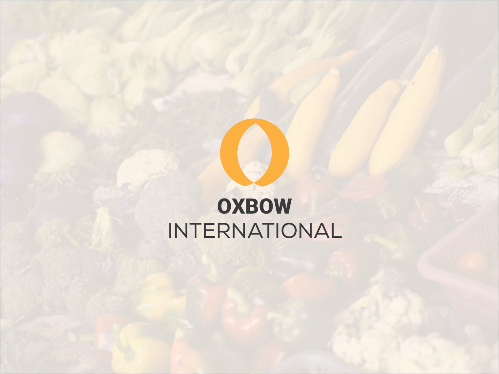 Oxbow Logo by andri hergiawan on Dribbble