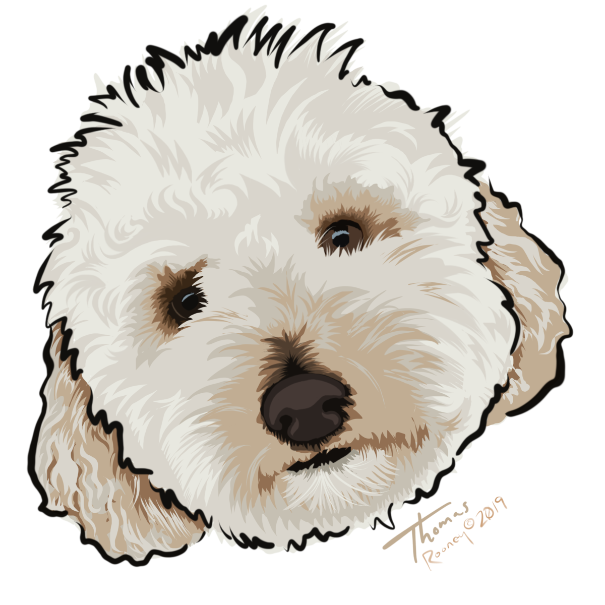 Thomas by Lyn Gabriel-Rooney on Dribbble