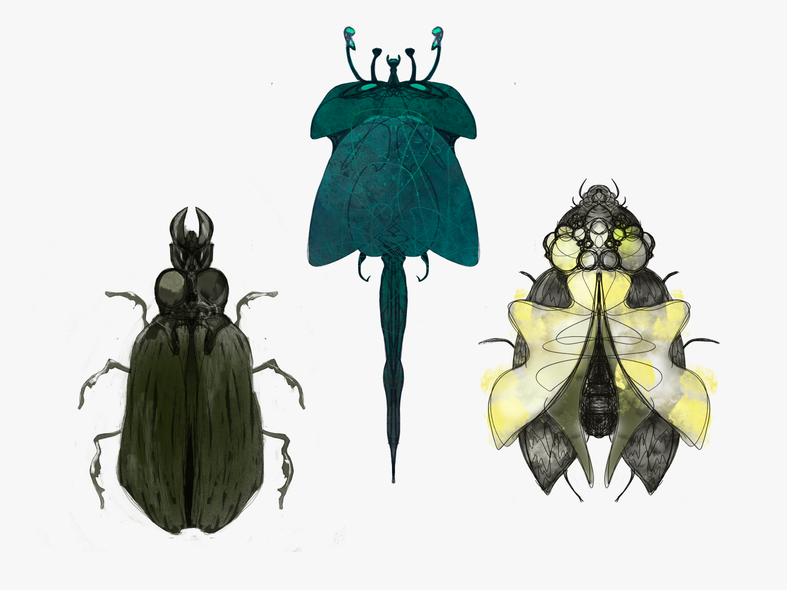 Fantasy insects by Veronika Vřešťálová on Dribbble