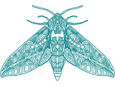Cold Moth by Tom Ralston on Dribbble