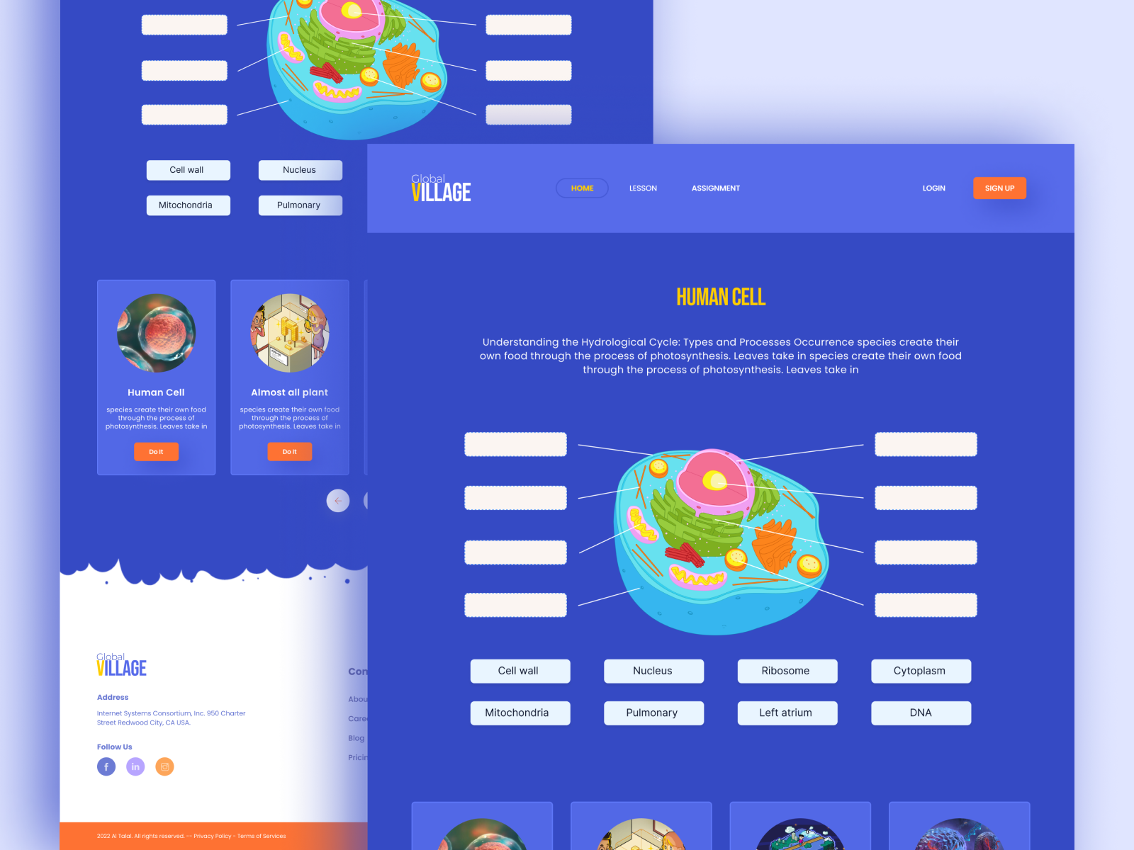 Drag And Drop Interactive Questions Answers Ui Ux Design By Md Rajiur Rahman On Dribbble