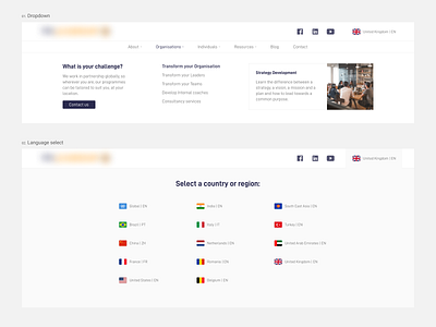 Dropdown & Language Select by ɴᴇʀᴠᴇᴡᴀx on Dribbble